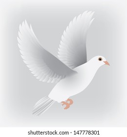 White Dove Isolated Vector Stock Vector (Royalty Free) 147778295 ...