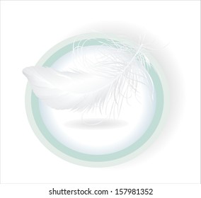 White Feather Icon Stock Vector (Royalty Free) 157981352 | Shutterstock