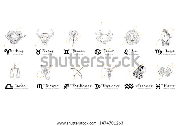 White Horoscopes Line Art Set Stock Vector (Royalty Free) 1474701263