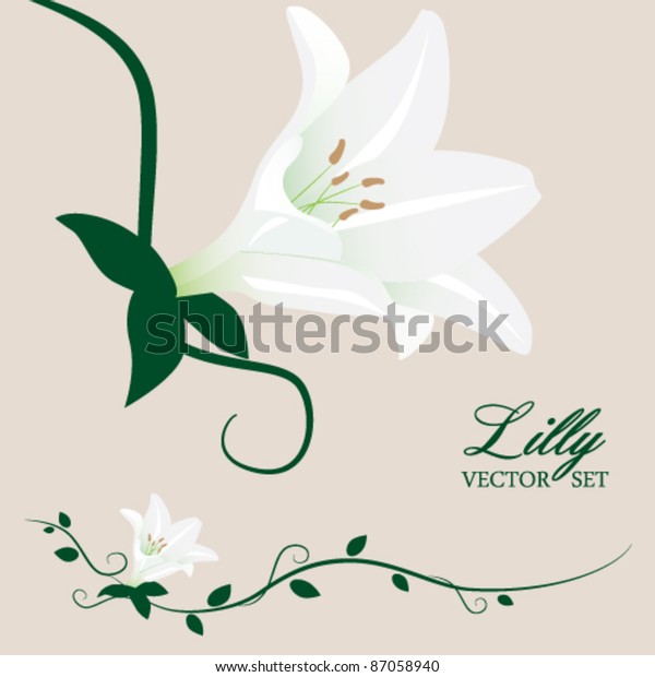 White Lilly Vines Vector Set Stock Vector (Royalty Free) 87058940