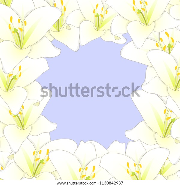 White Lily Flower Border Isolated On Stock Vector (Royalty Free ...