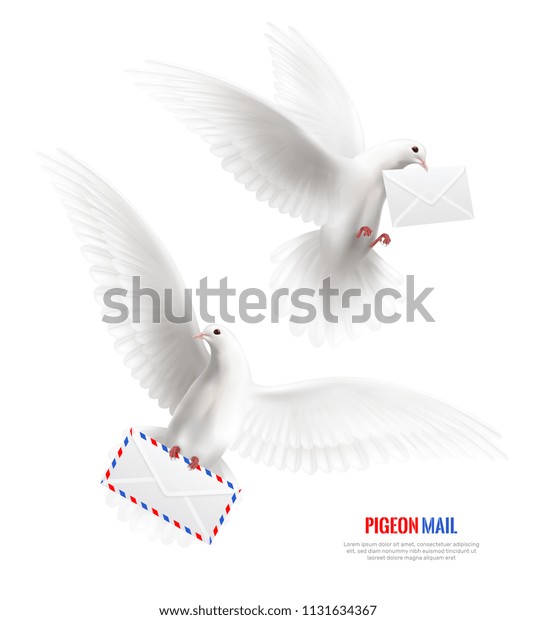 White Pigeons Set Pigeon Mail Symbols Stock Vector (Royalty Free ...
