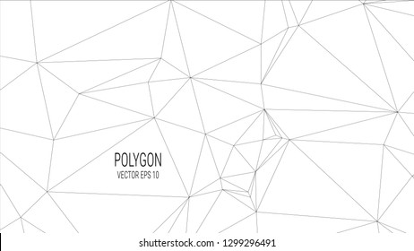 White Polygon Background Stock Vector (Royalty Free) 1342503485