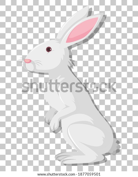 White Rabbit Cartoon Isolated On Transparent: เวกเตอร์สต็อก (ปลอดค่า ...
