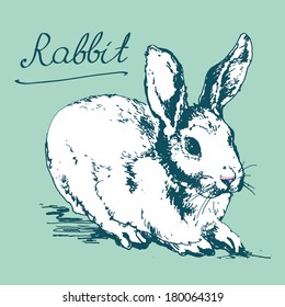 White Rabbit Ink Drawn Stock Vector (Royalty Free) 180064319 | Shutterstock