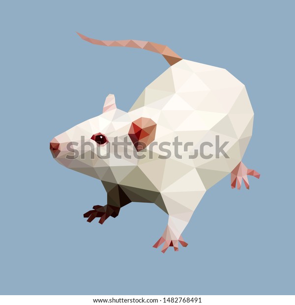 White rat created in polygonal design style. Vector illustration, EPS 10