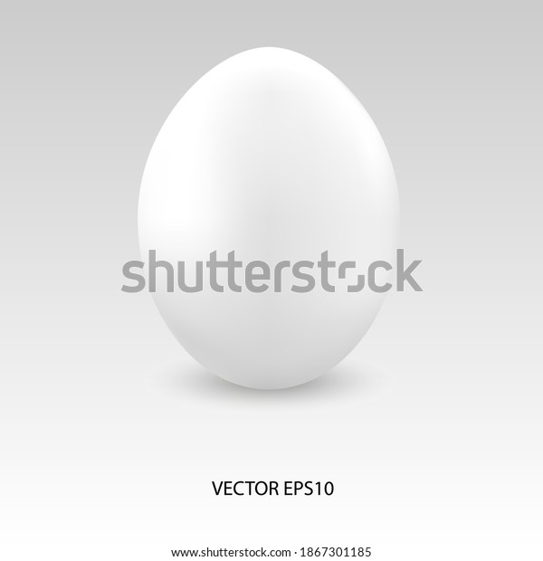 White Realistic Egg Chicken Egg Shadow Stock Vector (Royalty Free ...