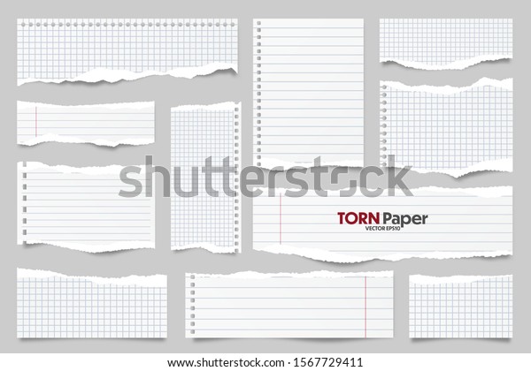 White Ripped Lined Paper Strips Collection Stock Vector (Royalty Free ...