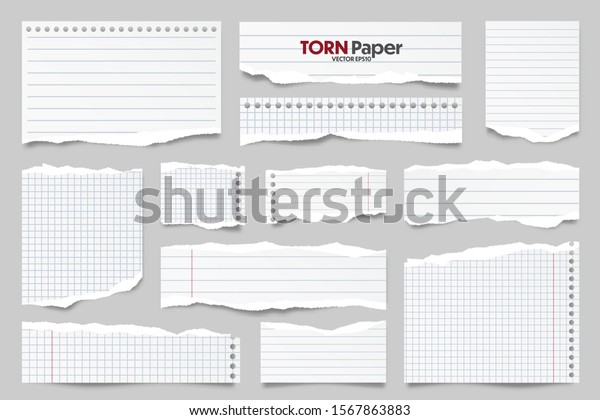 White Ripped Lined Paper Strips Collection Stock Vector (Royalty Free ...