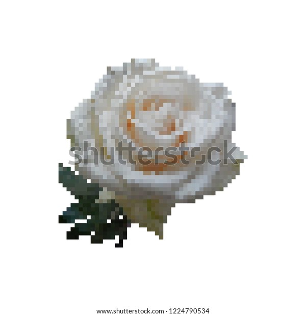 White Rose Pixel Art 8 Bit Stock Vector (Royalty Free) 1224790534 ...