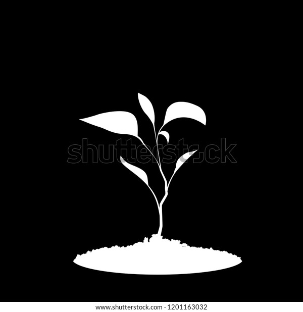 White Silhouette Sprouting Plant Soil Isolated Stock Vector (Royalty ...