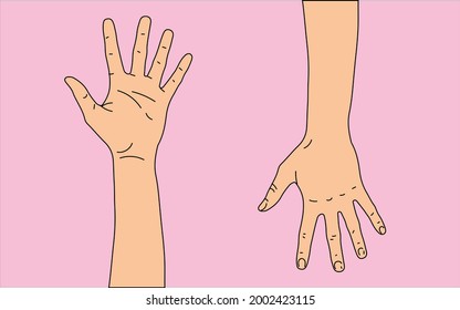 1.022 imagens de Palm hand front back Imagens, fotos stock e vetores ...