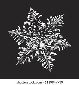 Pencil Drawing White Snowflake On Black Stock Illustration 555254089