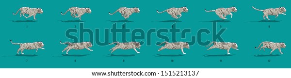White Tiger Run Cycle Animation Sequence Stock Vector (Royalty Free ...