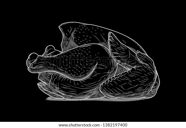 Whole Chicken Vector Drawing Illustration Side: เวกเตอร์สต็อก (ปลอดค่า ...