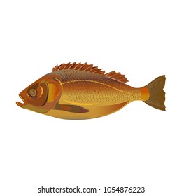 Whole Fried Fish Side View Vector Stock Vector (Royalty Free ...