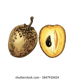 99 Chikoo Stock Illustrations, Images & Vectors | Shutterstock
