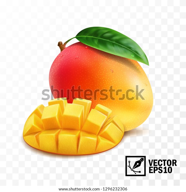 2,890 Green Cut Mango Stock Vectors, Images & Vector Art | Shutterstock