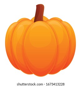 169,366 Pumpkin texture Images, Stock Photos & Vectors | Shutterstock