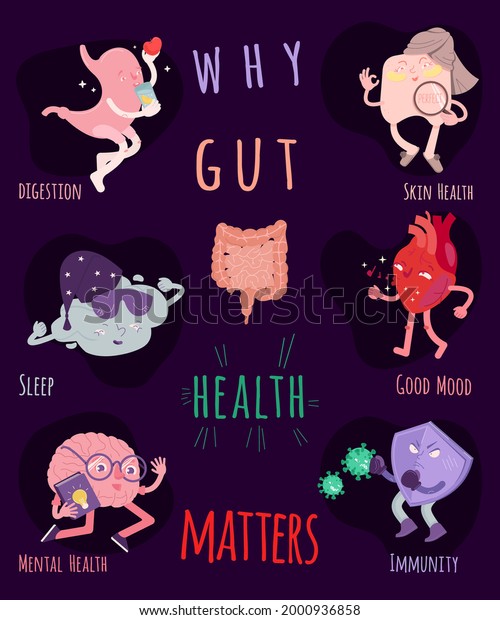 Why Gut Health Matters Vertical Poster Stock Vector (Royalty Free ...
