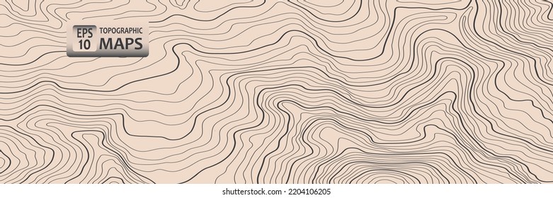 Wide Topographic Map On Beige Background Stock Vector (Royalty Free ...