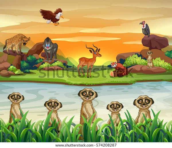 Wild Animals By River Illustration Stock Vector (Royalty Free ...