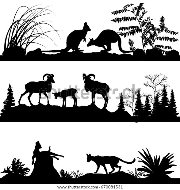 Wild Animals Kangaroos Sheep Wild Cats Stock Vector (Royalty Free ...