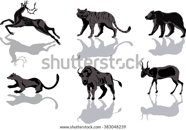 Wild Animals Reflecting Shadows Vector Set Stock Vector (Royalty Free ...