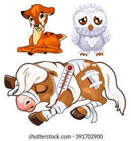 Wild Animals Sad Feeling Bad Vector Stock Vector (Royalty Free ...