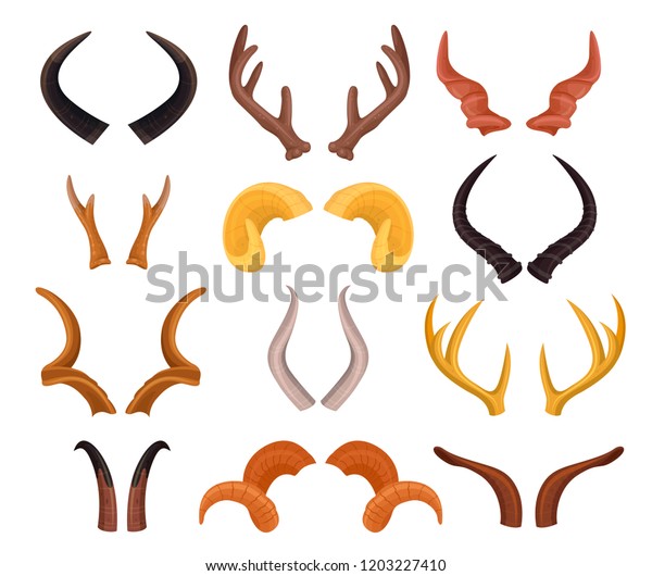 Wild Animals Sharp Horns Pairs Hunting Stock Vector (Royalty Free ...