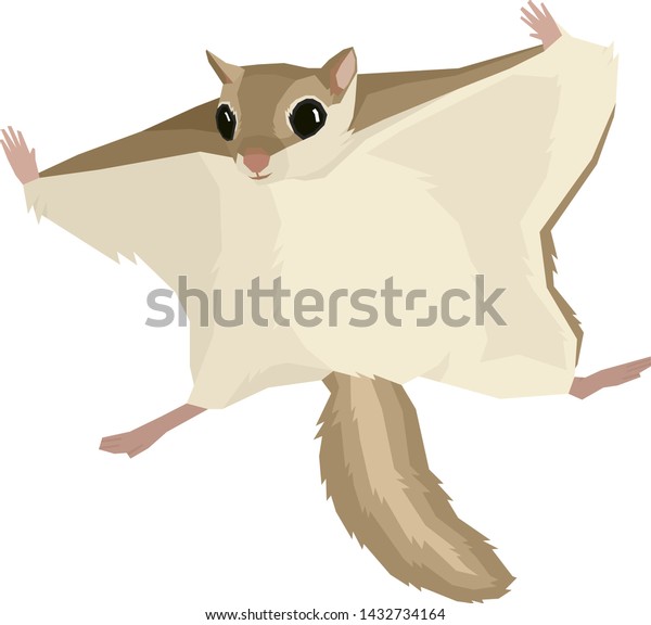 Wild Animals Vector Illustration Flying Squirrel Stock Vector (Royalty ...