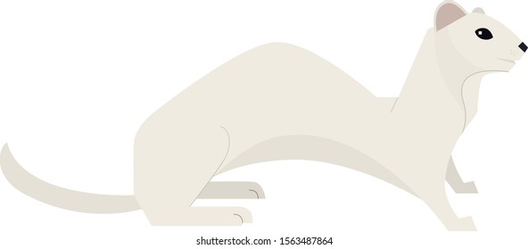 61 Least weasel Stock Vectors, Images & Vector Art | Shutterstock
