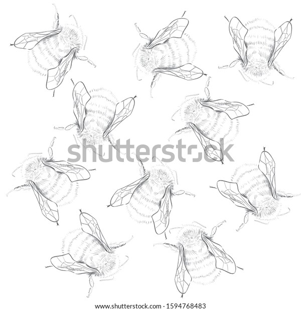 Wild Bees Drawing Background Illustration Stock Vector (Royalty Free ...