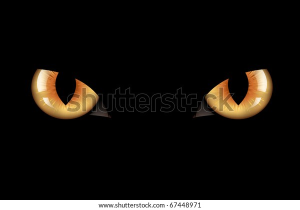 Wild Cat Eyes On Black Background Stock Vector (Royalty Free) 67448971