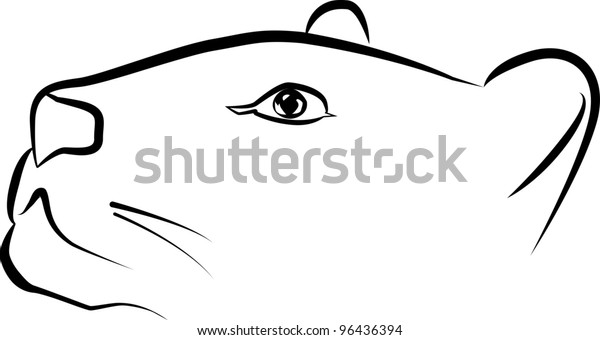 Wild Cat Line Art Black White 스톡 벡터(로열티 프리) 96436394 | Shutterstock