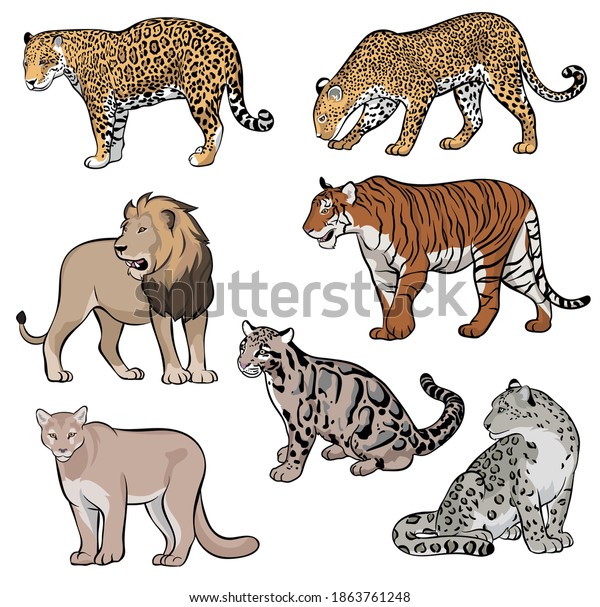 Wild Cats Vector Pack Lion Tiger Stock Vector (Royalty Free) 1863761248