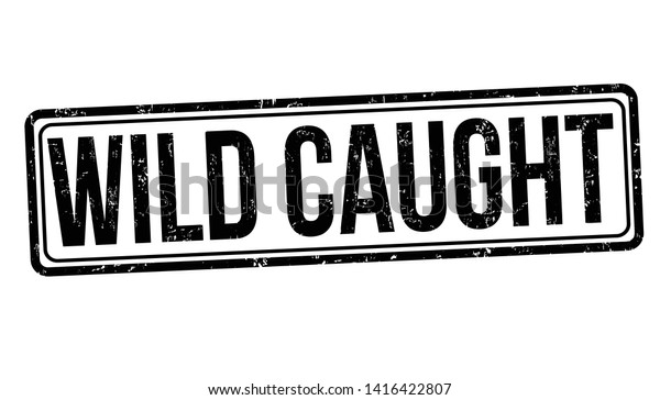 Wild Caught Sign Stamp On White Stock Vector (Royalty Free) 1416422807