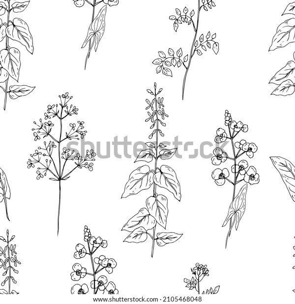 Wild Flowers Line Drawing Vector Illustration Stock Vector (Royalty ...