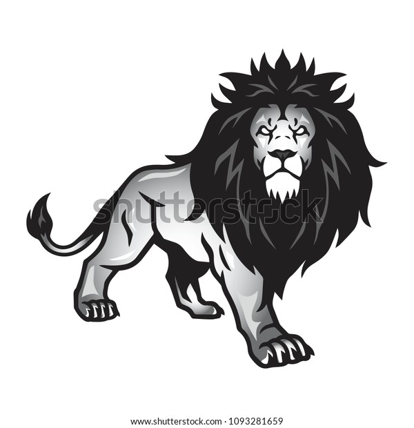 Wild Lion Stance Vector Illustration Stock Vector (Royalty Free ...