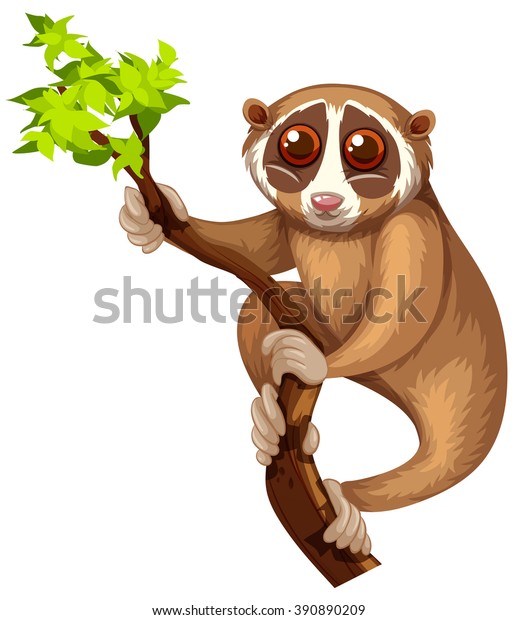 Wild Loris On Branch Illustration Stock Vector (Royalty Free) 390890209