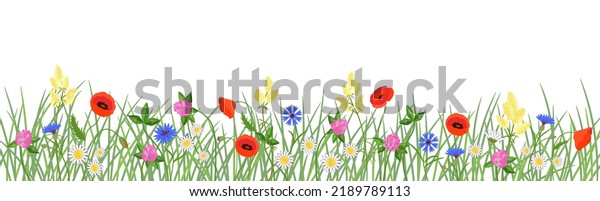 Wild Meadow Flowers Horizontal Border Vector Stock Vector (Royalty Free ...