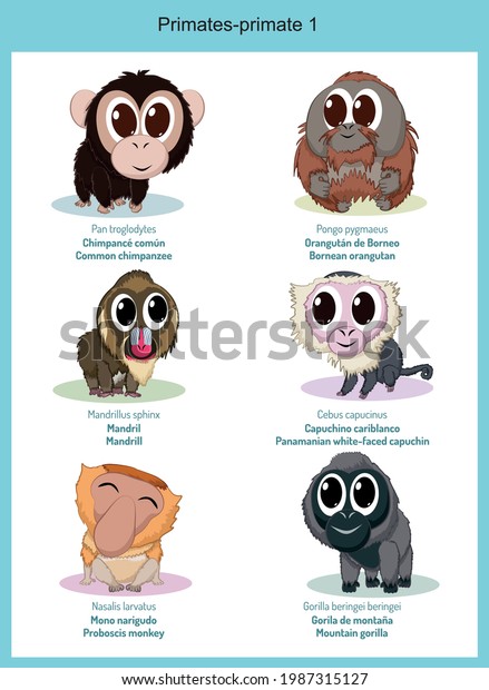 Wild World Primate Cartoons Cute Wild Stock Vector (Royalty Free ...