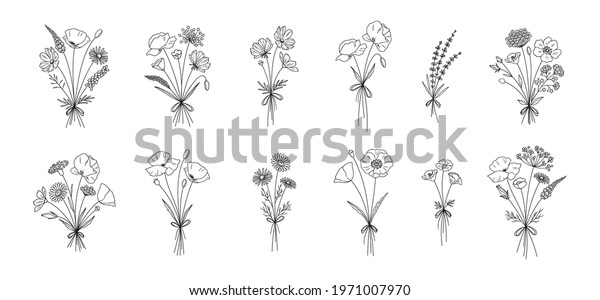 Wildflower Line Art Bouquets Set Hand Stock Vector (Royalty Free ...