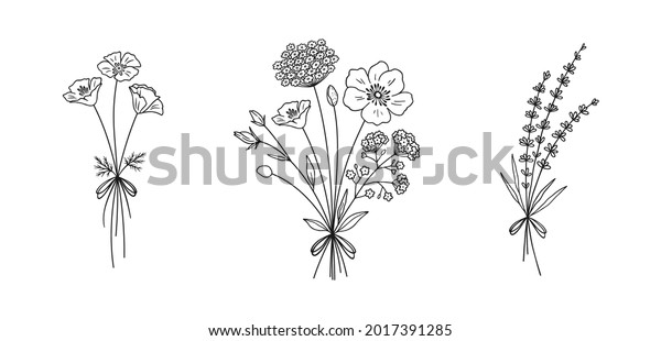 Wildflower Line Art Bouquets Set Hand Stock Vector (Royalty Free ...