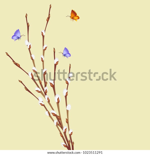 Willow Branch Buds Catkins Flying Butterflies Stock Vector (Royalty ...