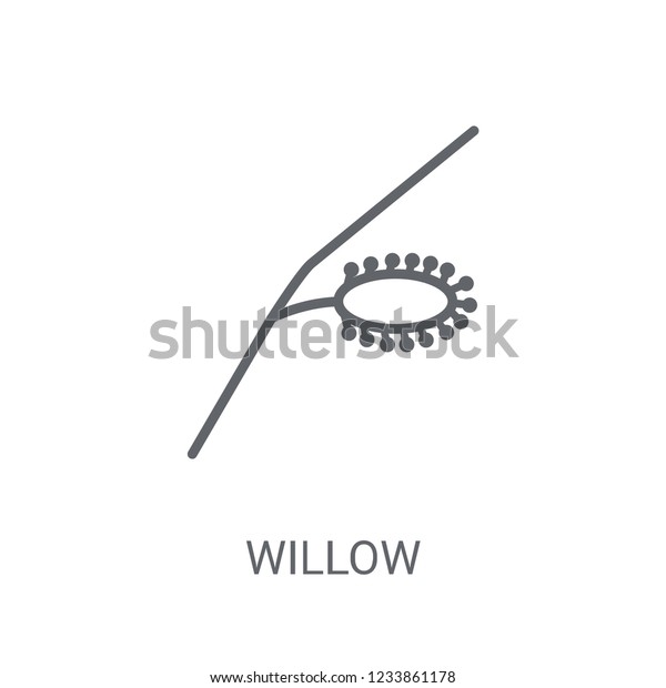 Willow Icon Trendy Willow Logo Concept Stock Vector (Royalty Free ...