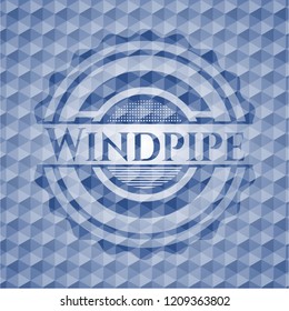 Windpipe Blue Emblem Badge Abstract Geometric Stock Vector (Royalty ...