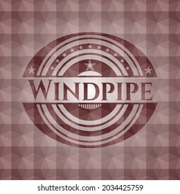2,325 The windpipe Images, Stock Photos & Vectors | Shutterstock