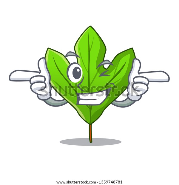 Wink Sassafras Leaf Cartoon Stem 库存矢量图（免版税）1359748781 | Shutterstock