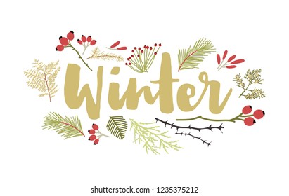 Winter Lettering Handwritten Cursive Calligraphic Font Stock Vector ...
